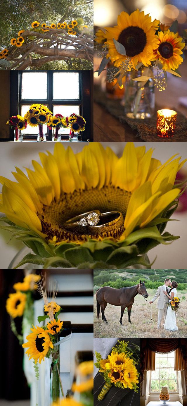 39 Sunflower Wedding Ideas And Wedding Decorations ChicWedd