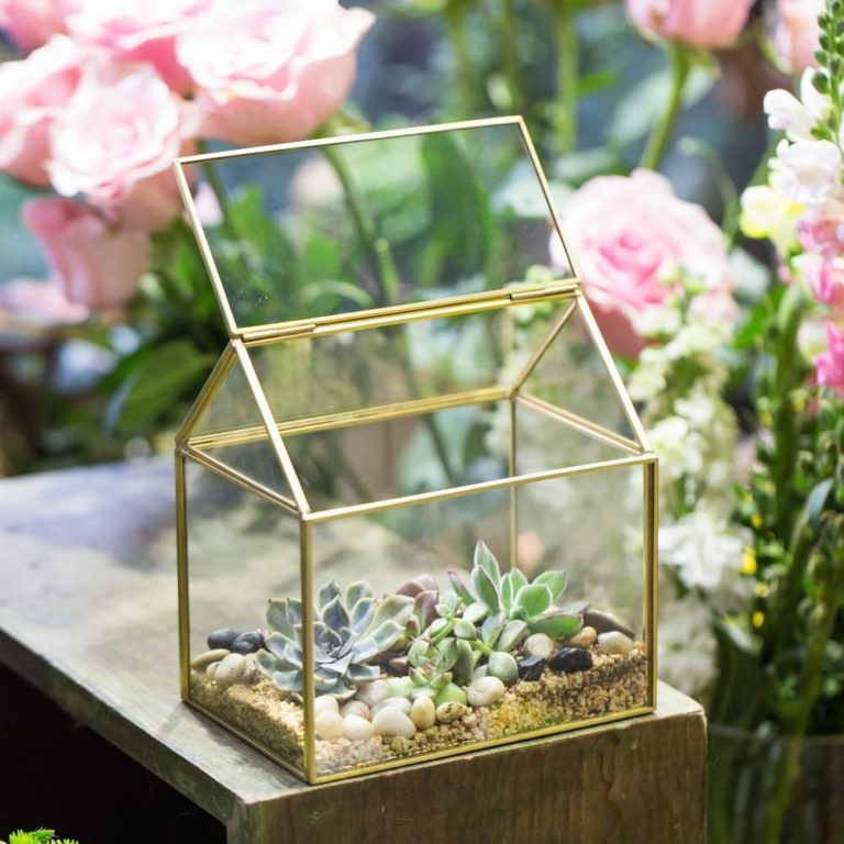 20 Chic Geometric Terrarium Decoration Ideas – ChicWedd